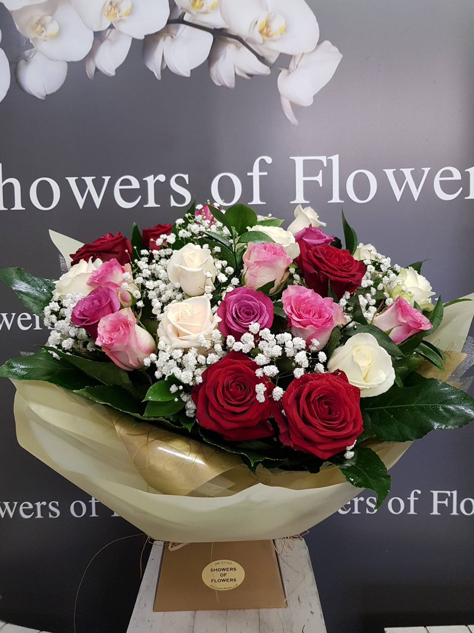 Mixed Roses | Showers of Flowers