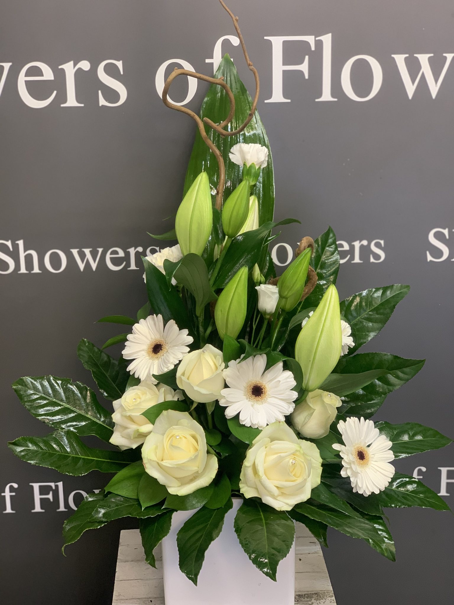 All White (HB) | Showers of Flowers