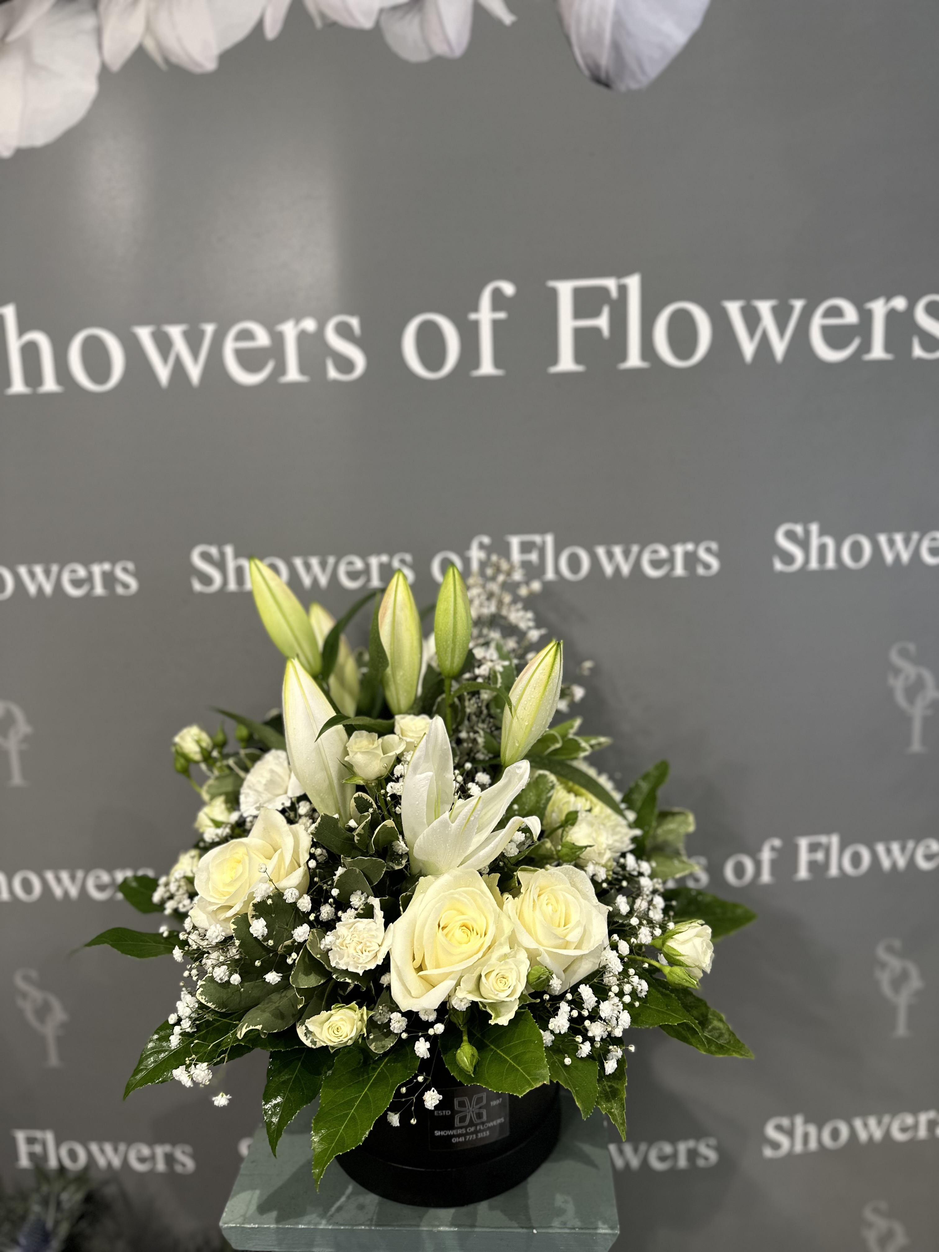 All White (HB) | Showers of Flowers