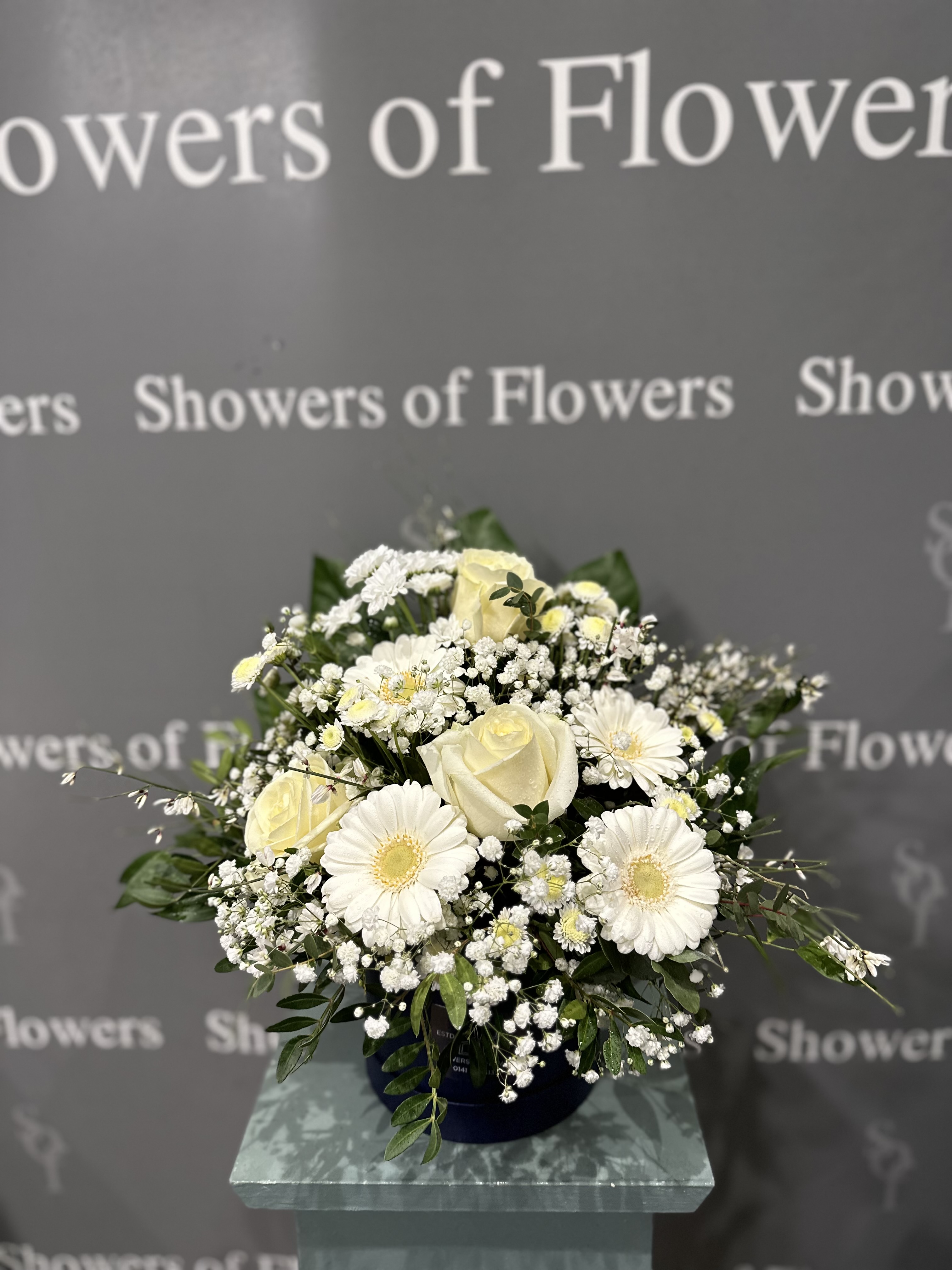 All White (HB) | Showers of Flowers