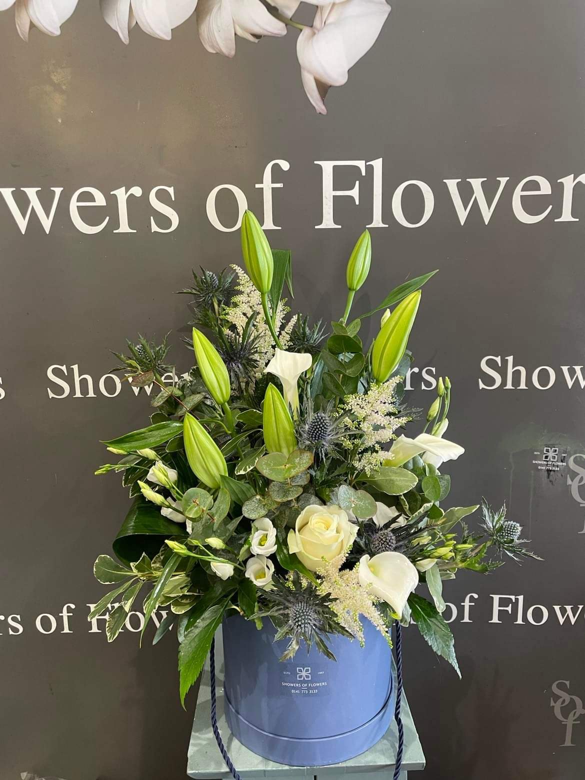 Scottish (HB) | Showers of Flowers