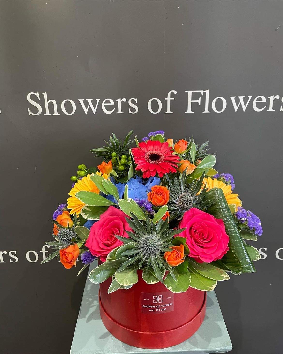 Vibrant (HB) | Showers of Flowers