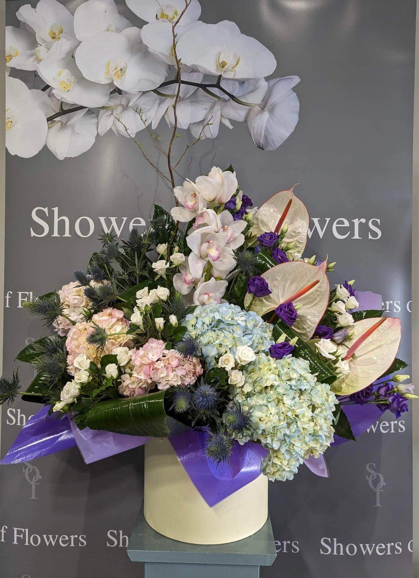 Divinity | Showers of Flowers