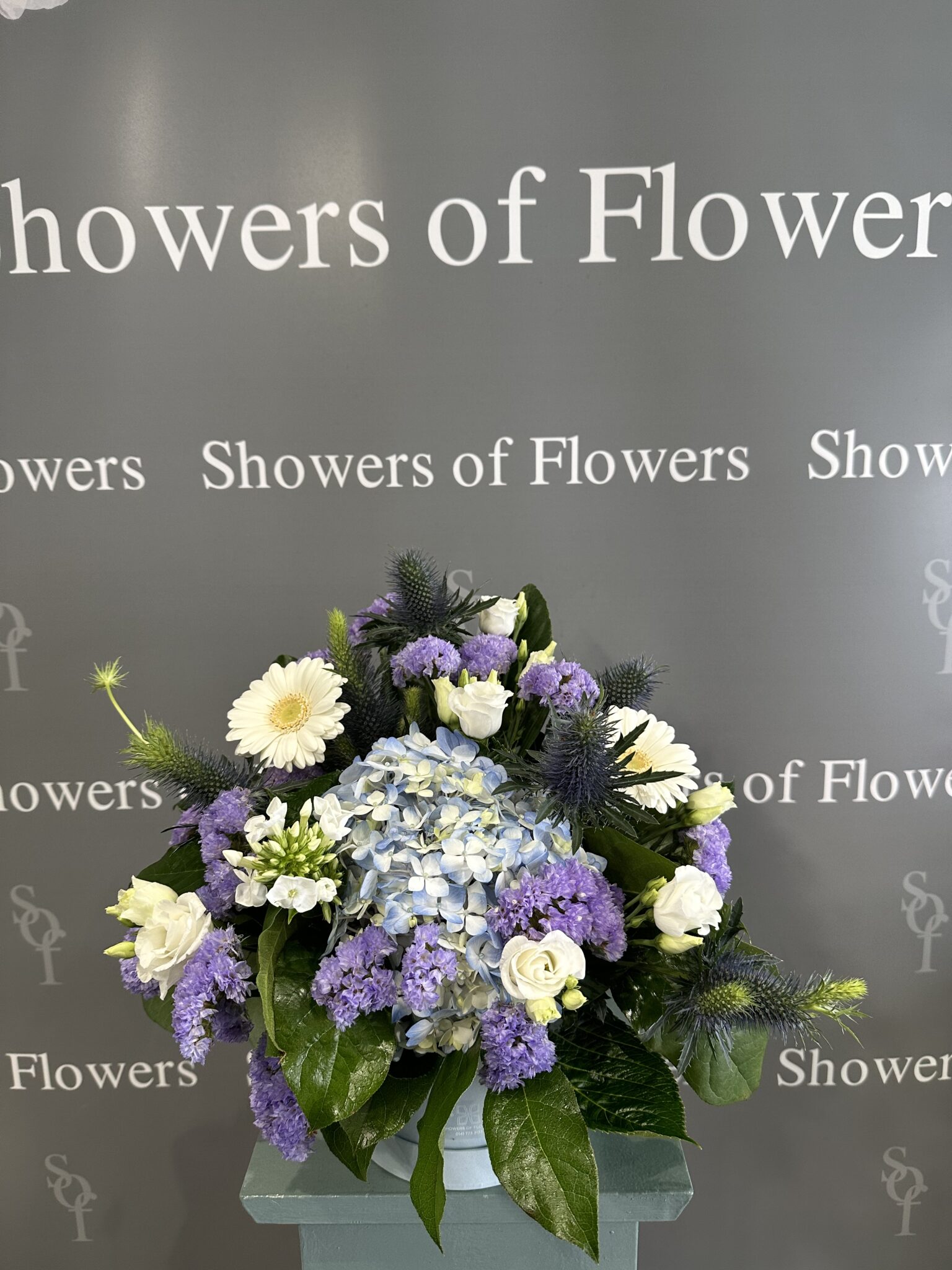 Scottish Pastels (HB) | Showers of Flowers