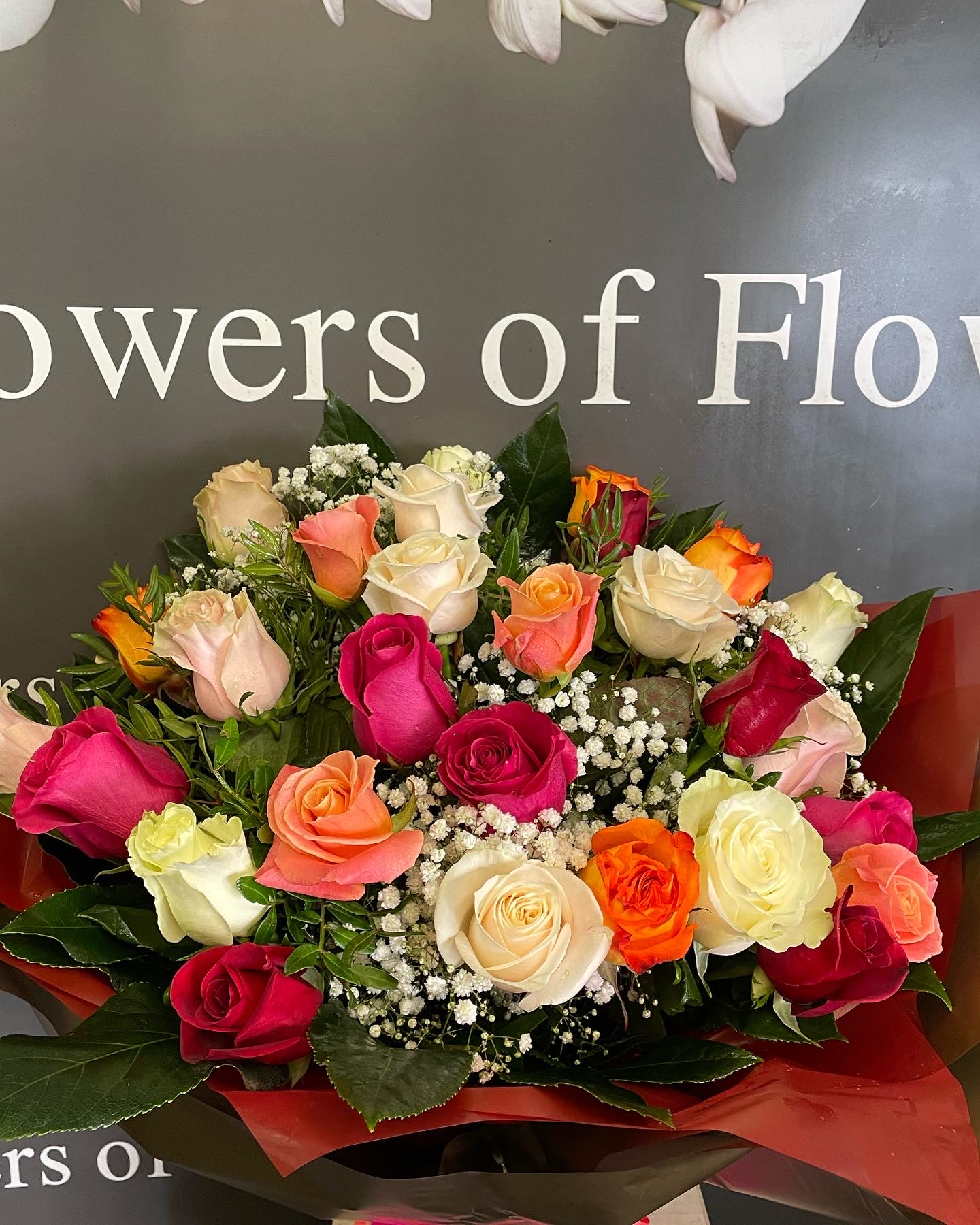 Mixed Roses | Showers of Flowers