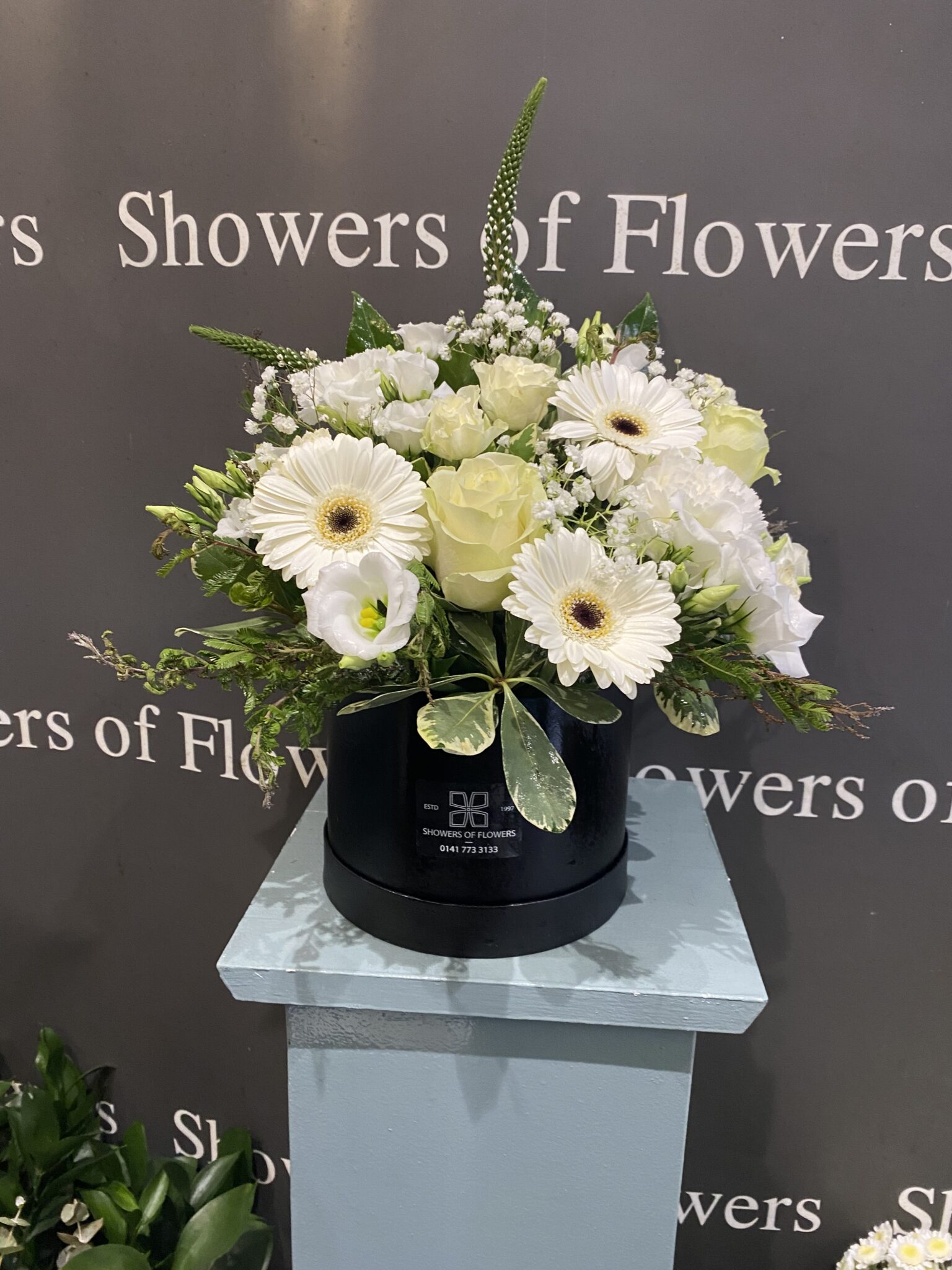 All White (HB) | Showers of Flowers